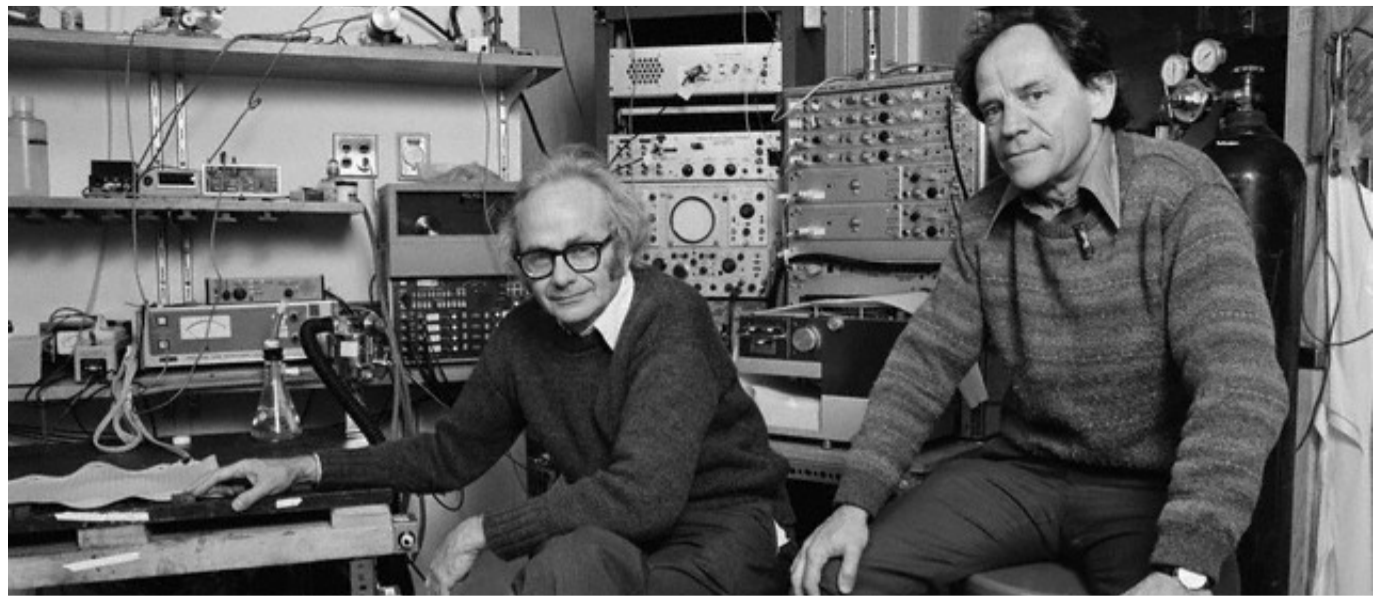 Processing Perception Visual Fields And Nervous System Specificity