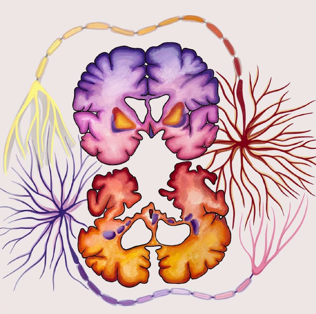 The Hunt for a Cure: Promising New Developments in Huntington’s Disease ...