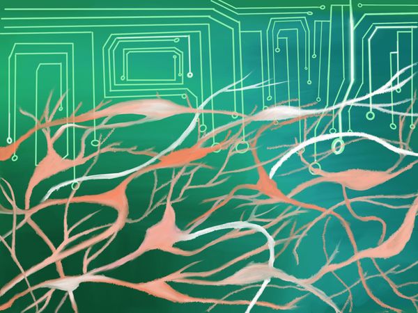 Parallel Processors: Comparing the Brain and the Computer